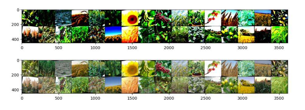 Ml Beginner S Guide To Build An Agricultural Crop Classifier Using Cnns